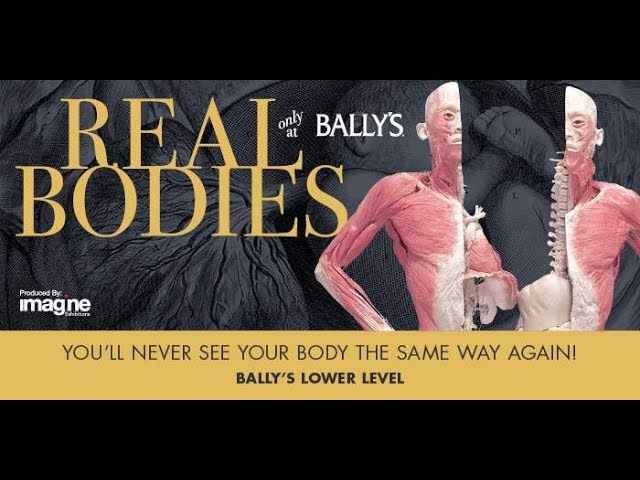 “Real Bodies at Bally’s” recently opened in the heart of Las Vegas ...